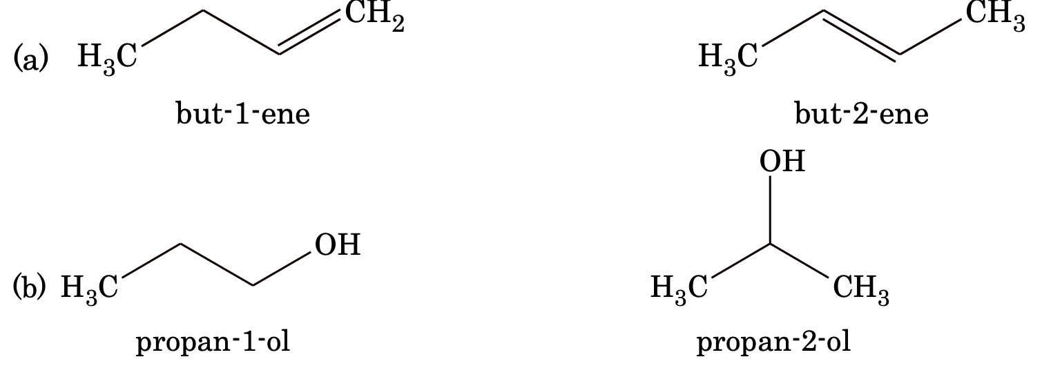 Isomerism Class 11 Chemistry Notes – Structural & Stereoisomerism Explained