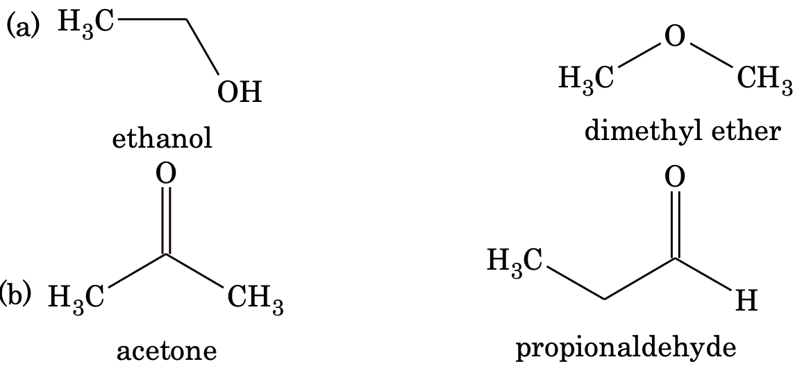 Isomerism Class 11 Chemistry Notes – Structural & Stereoisomerism Explained