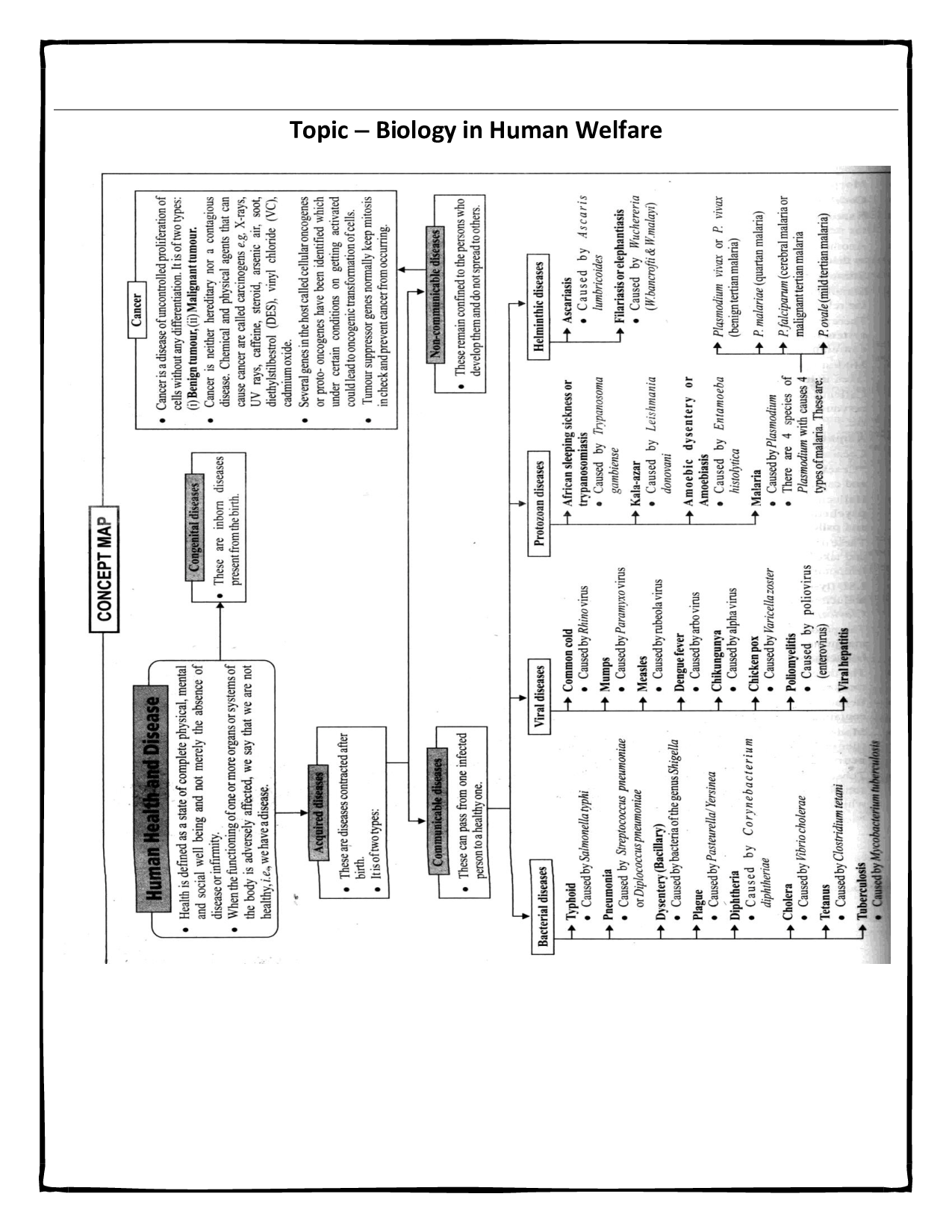 Class 12 Mind Map Chapter 8 Microbes in Human Welfare, Download PDF