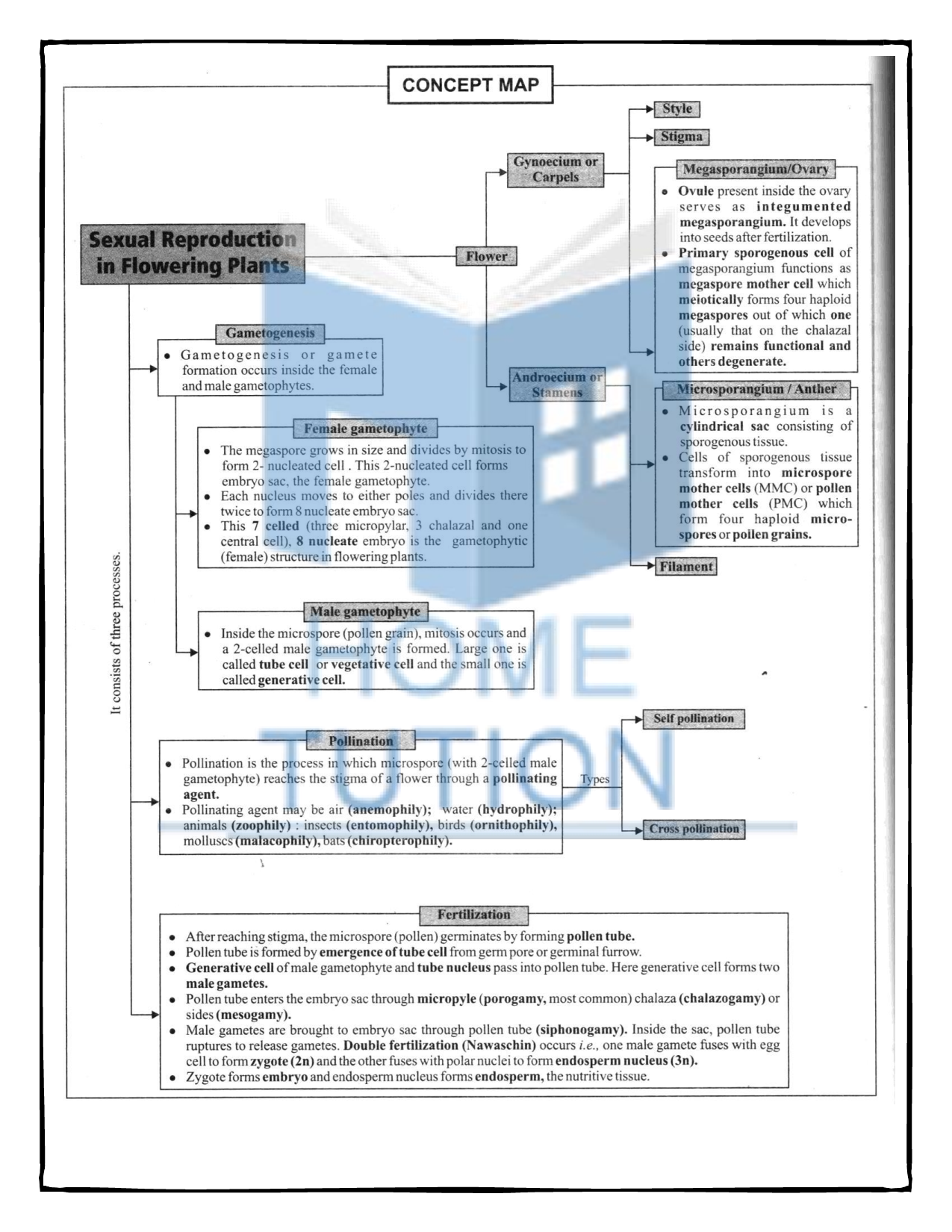 Class 12 Biology Reproduction Mind Map - Home-Tuition