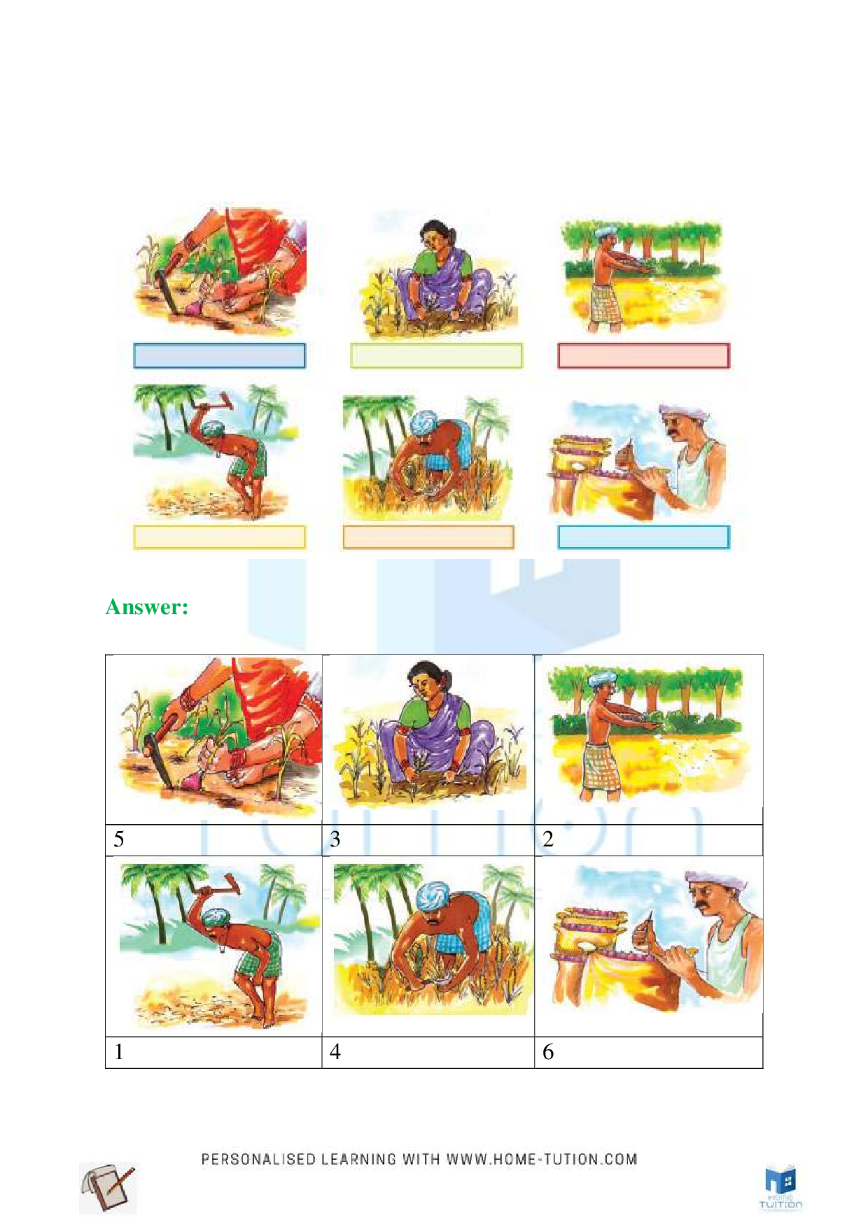 NCERT Solutions For Class 4 EVS Chapter 14 Basva